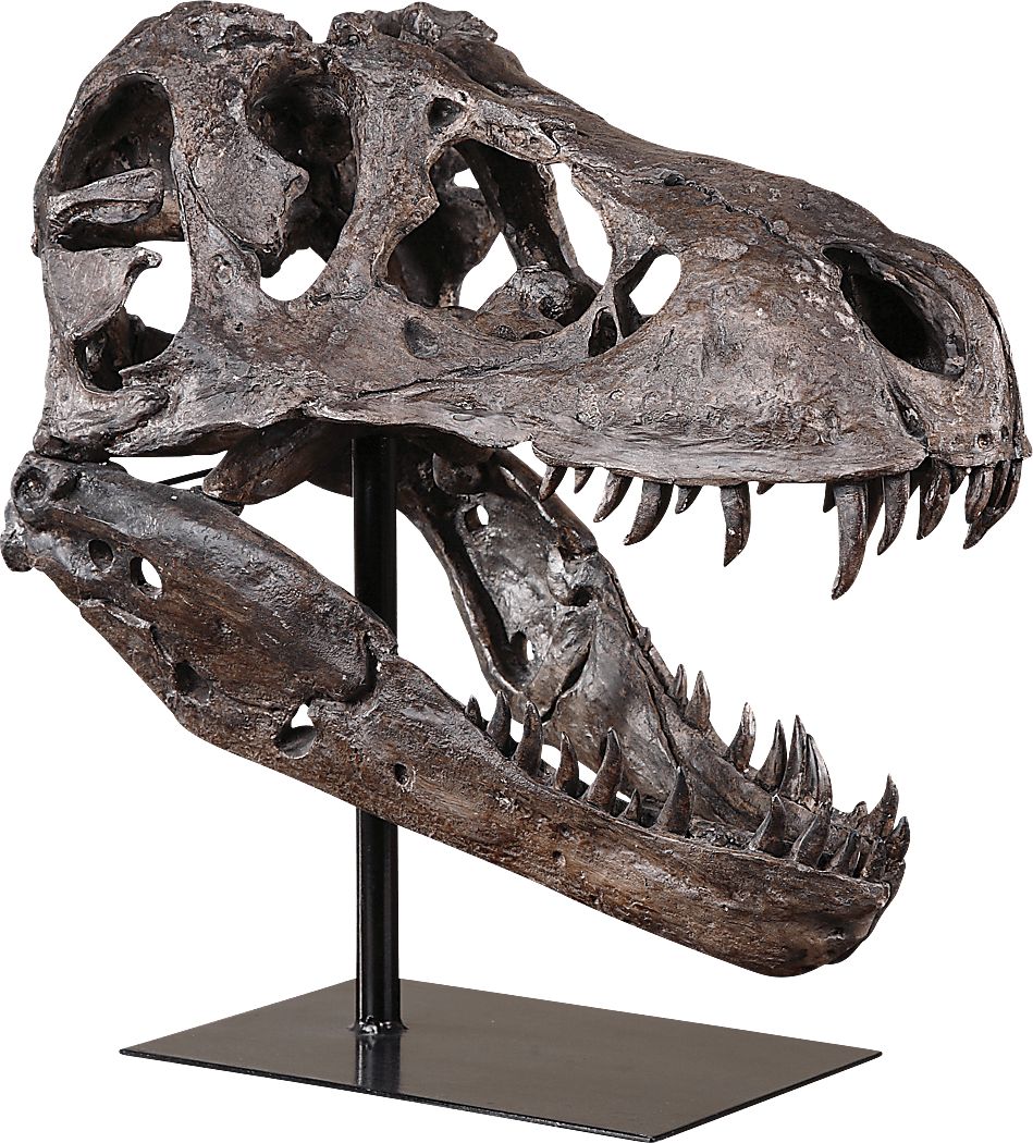 A Dinosaur's Past Gray Sculpture - Rooms To Go