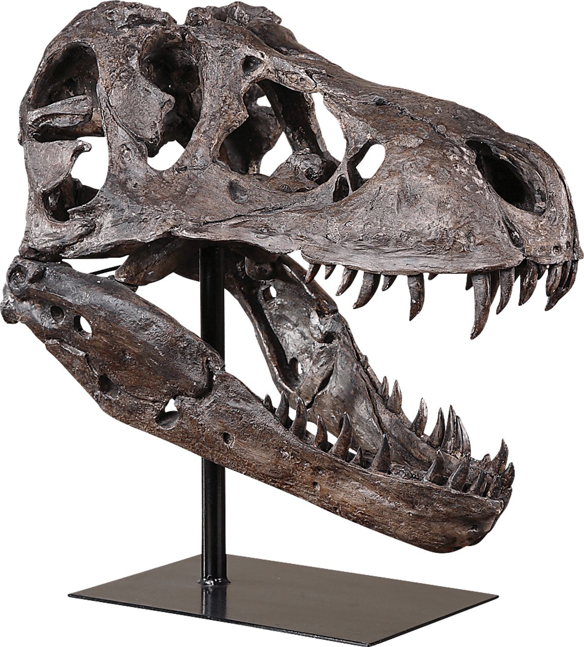 A Dinosaur'S Past Gray Sculpture | Rooms to Go