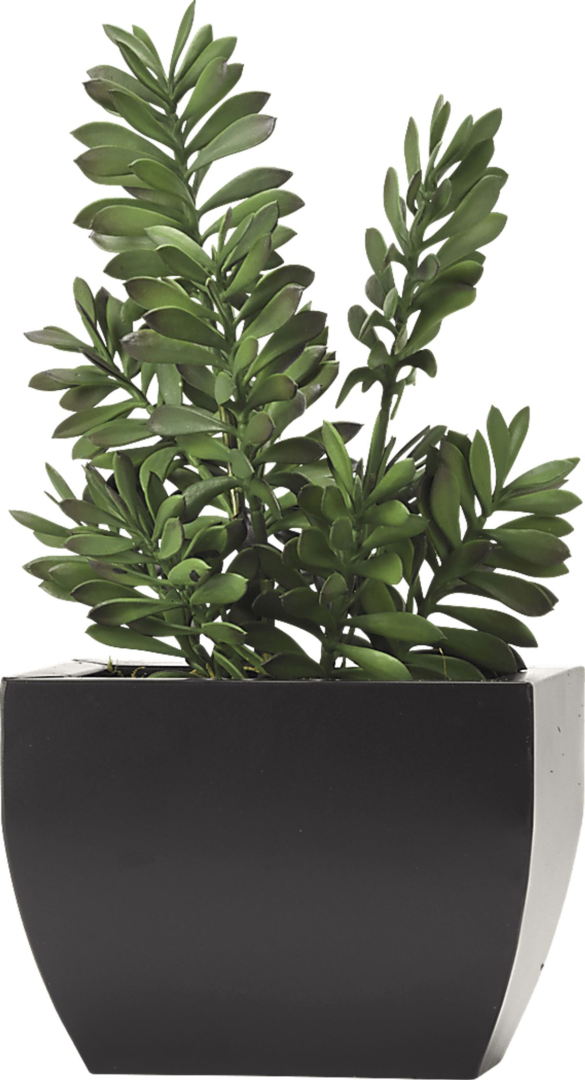 Ailyne Green Colors Silk Plant | Rooms to Go