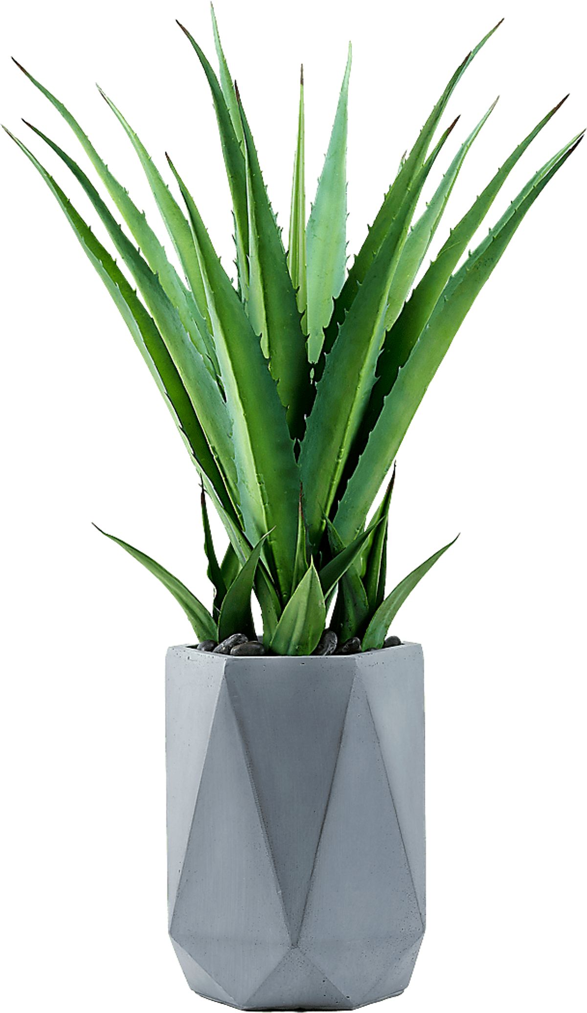Altera Green Colors Gray Outdoor Plant | Rooms to Go