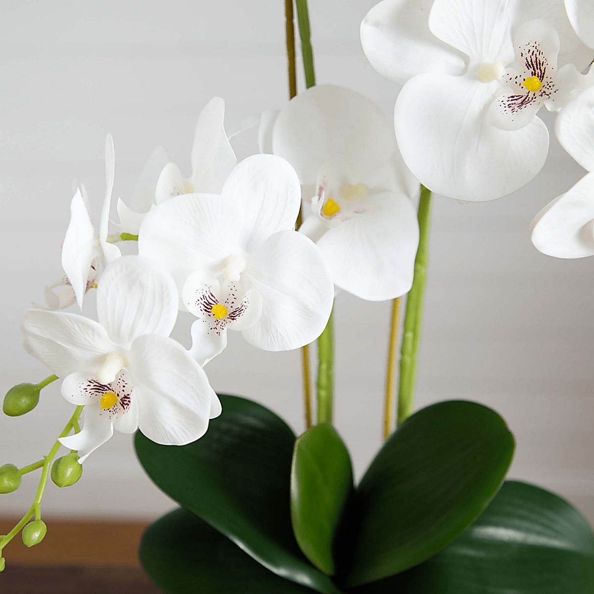 Bierer White Silk Floral | Rooms to Go