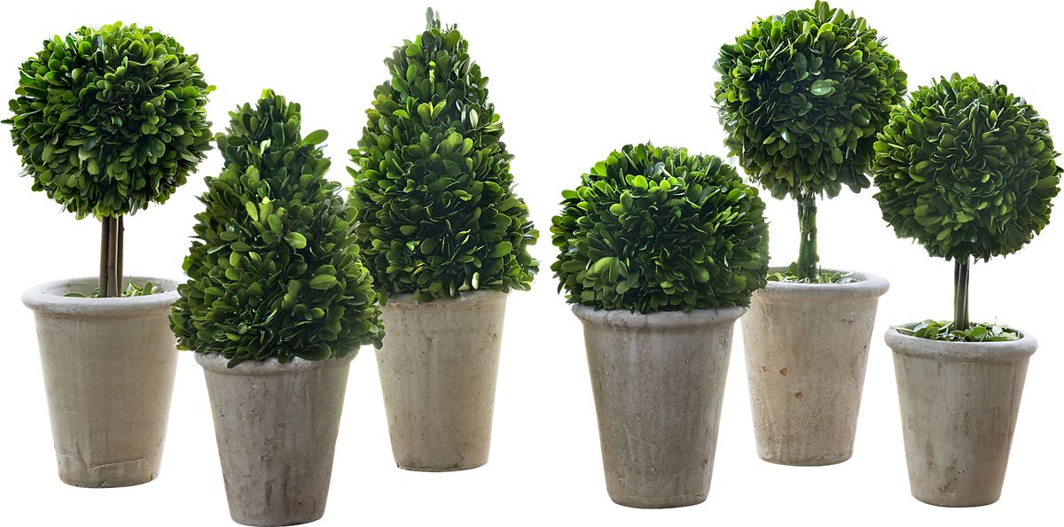 Boscage Green Set Of 6 Vases - Rooms To Go