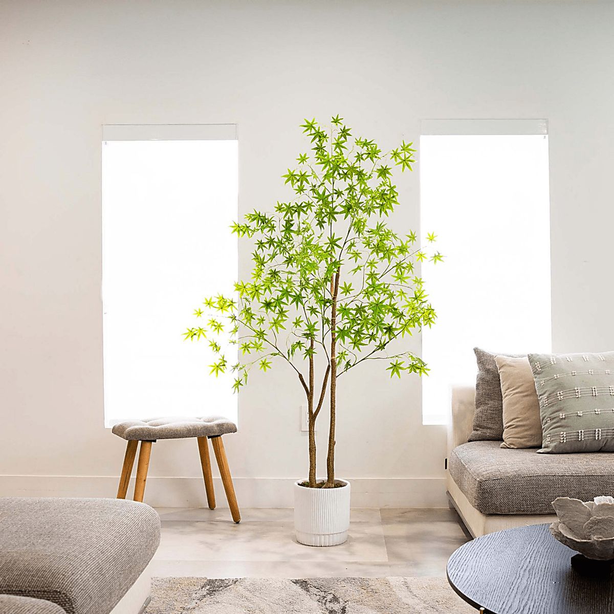 Calamia Green Silk Tree | Rooms to Go