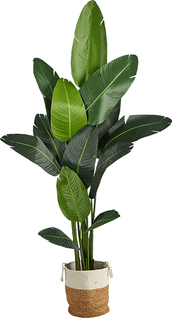 Candsu Green Tree | Rooms to Go