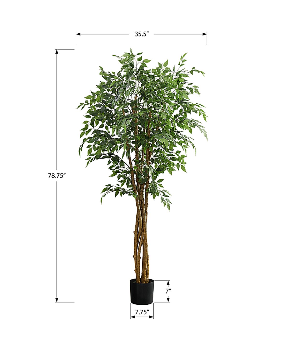 Colusay Green Silk Plant | Rooms to Go