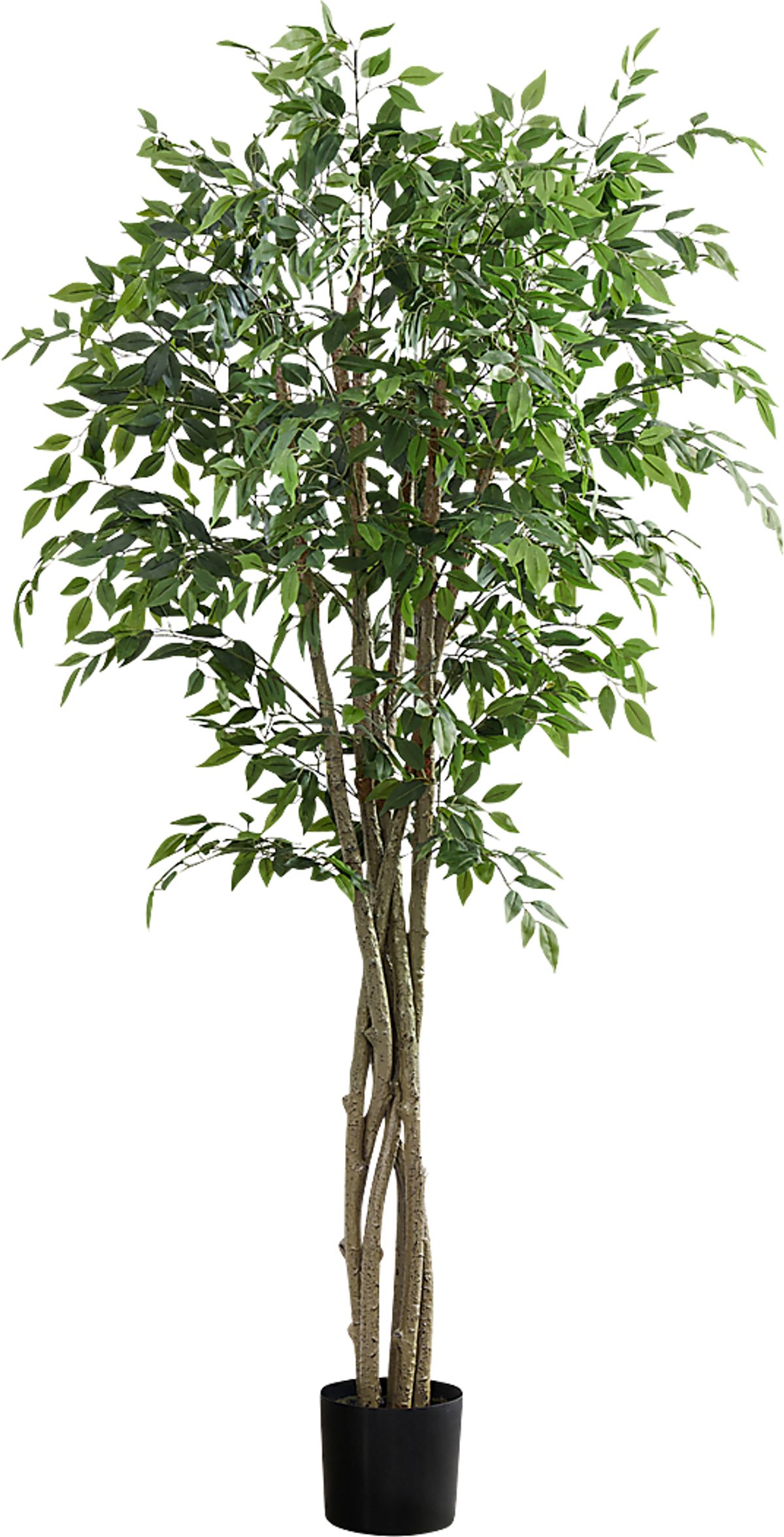 Colusay Green Silk Plant | Rooms to Go