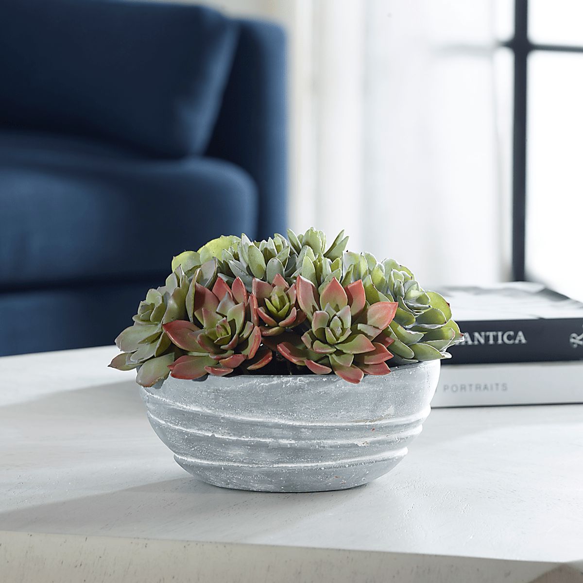 Coura Gray Plant | Rooms to Go