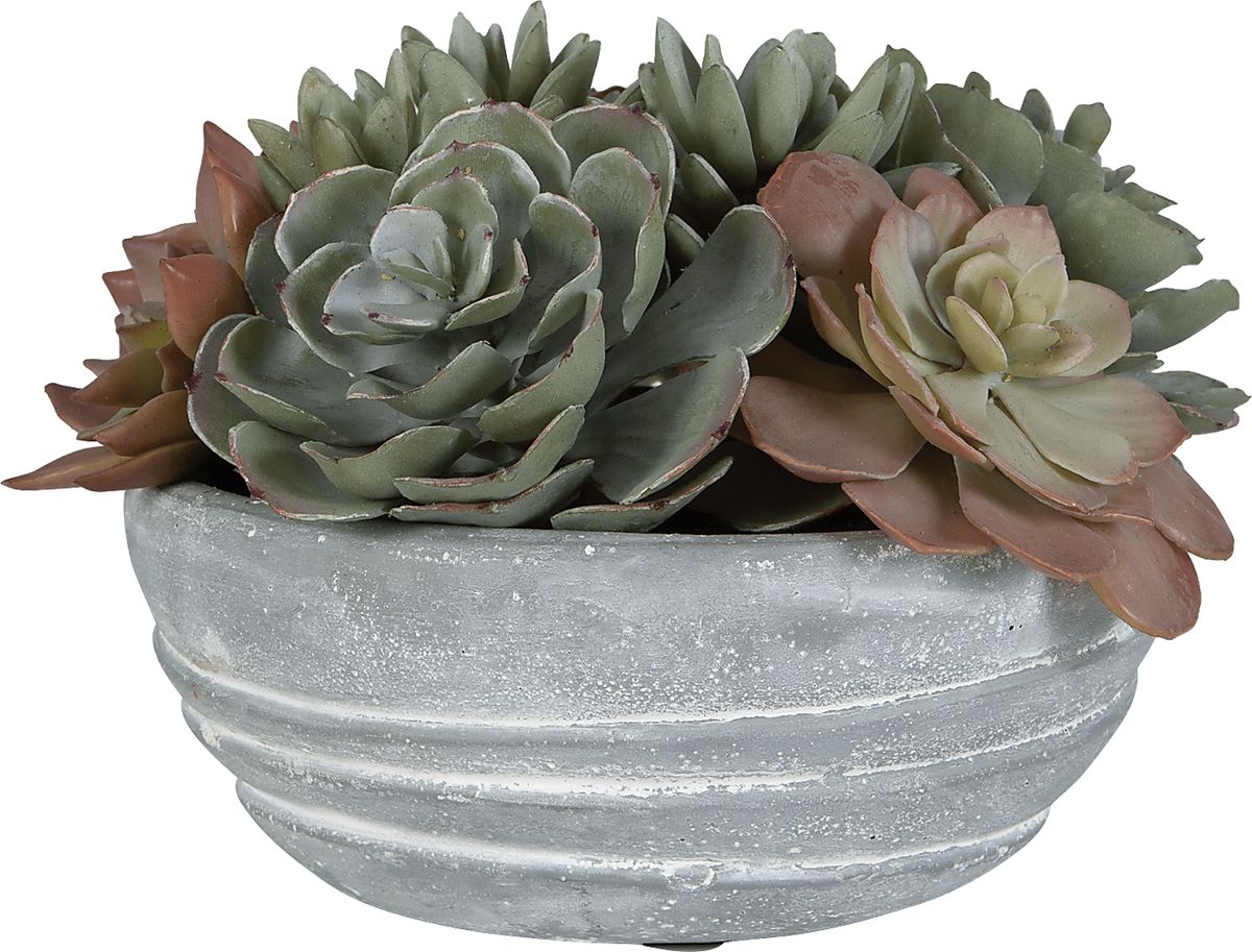Coura Gray Plant | Rooms to Go