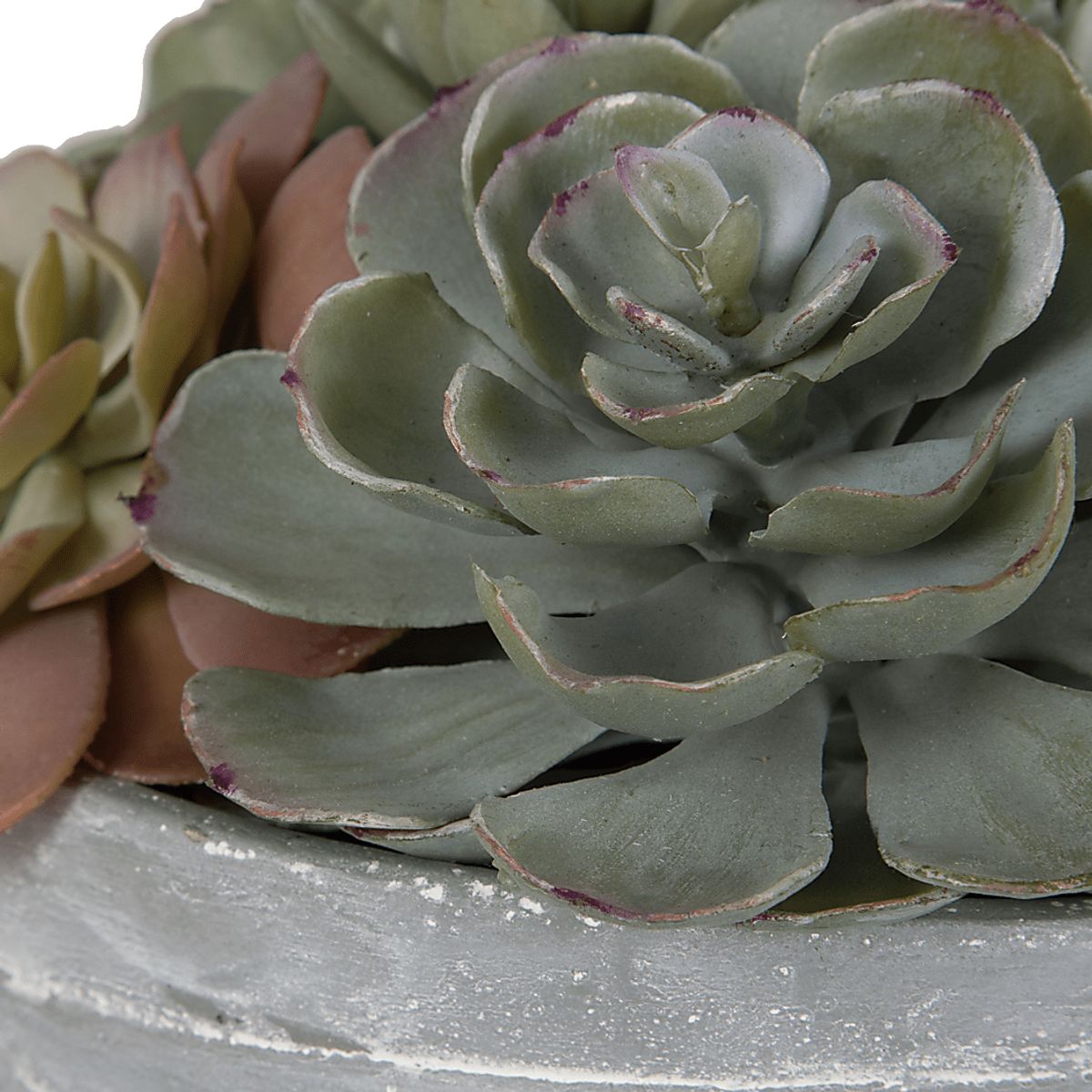 Coura Gray Plant | Rooms to Go