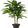 Darian Green Colors Silk Tree | Rooms to Go