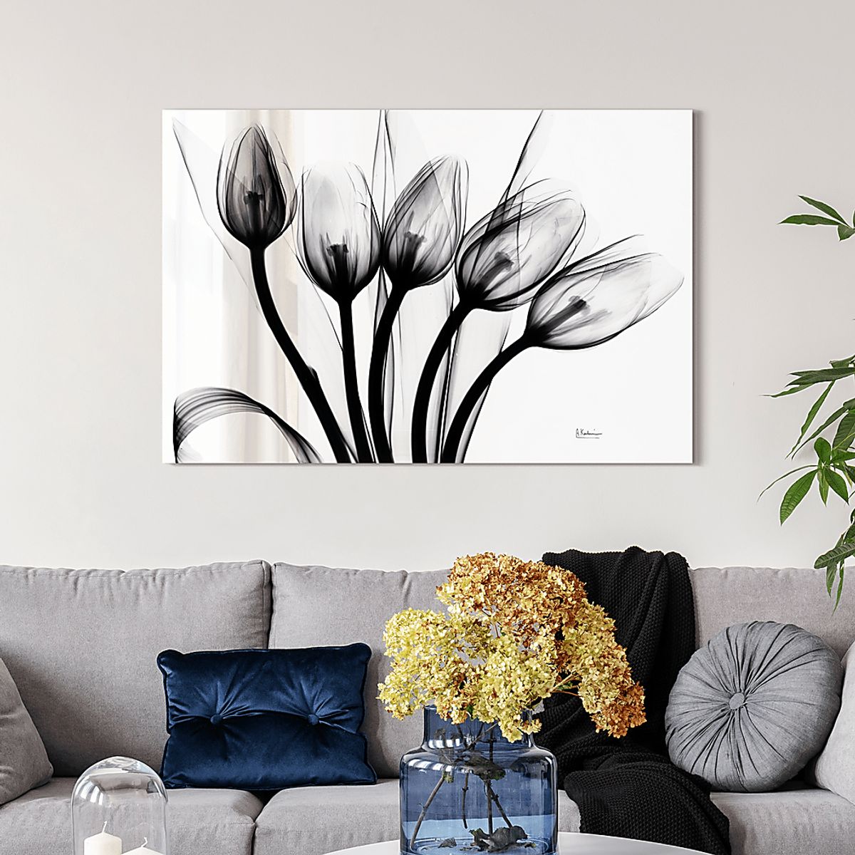 Dauzat Multi Artwork | Rooms to Go