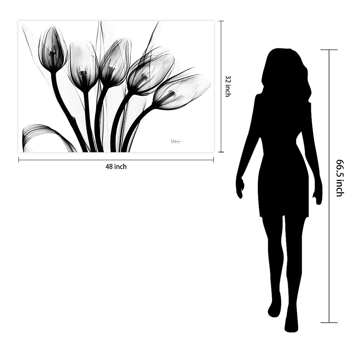 Dauzat Multi Artwork | Rooms to Go