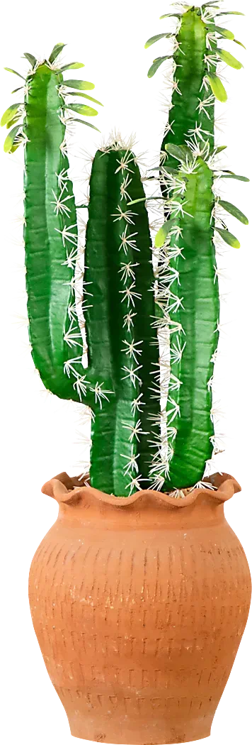 Defford Green Silk Plant | Rooms to Go