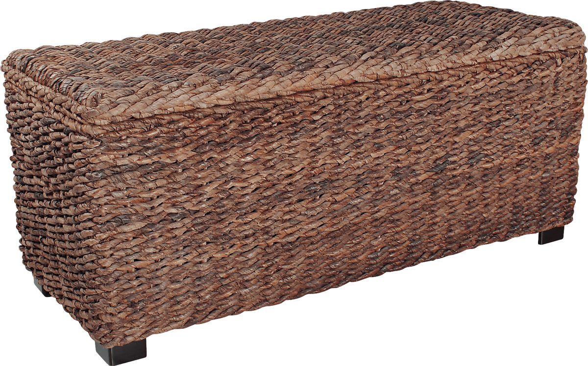 Elaney Ann Brown Storage Trunk | Rooms to Go