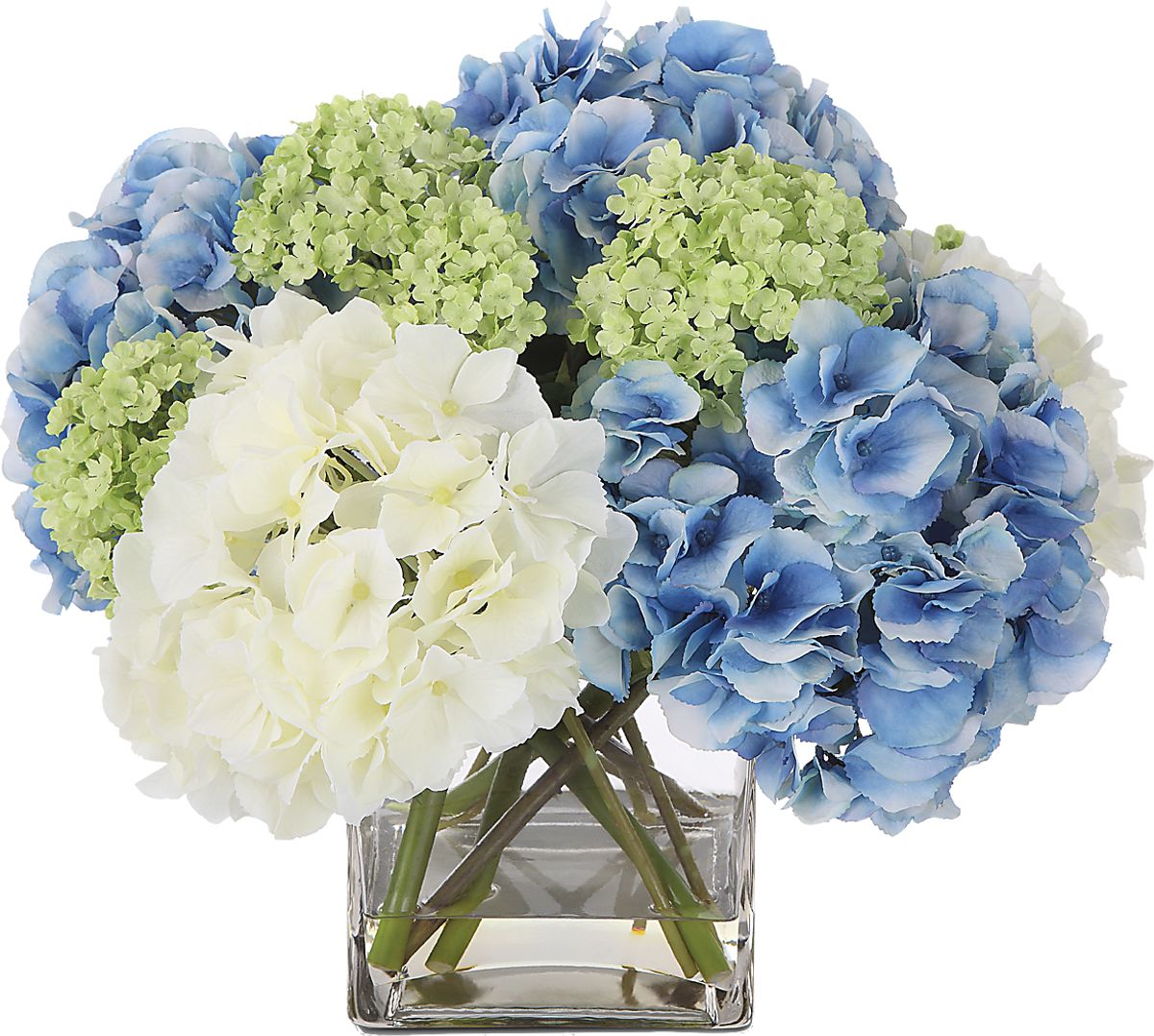 Erda Green Colors Plant | Rooms to Go