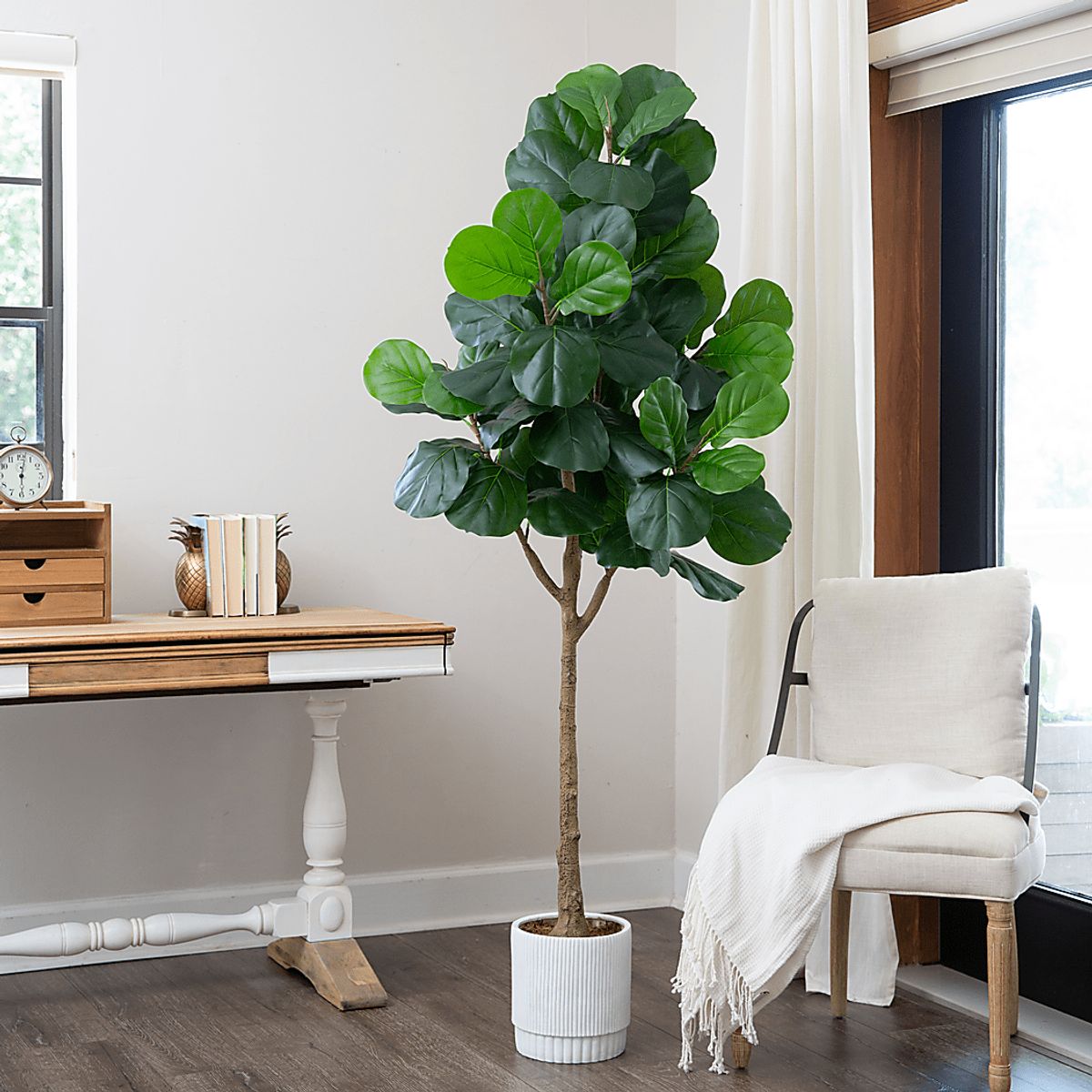 Esturion Green Tree | Rooms to Go