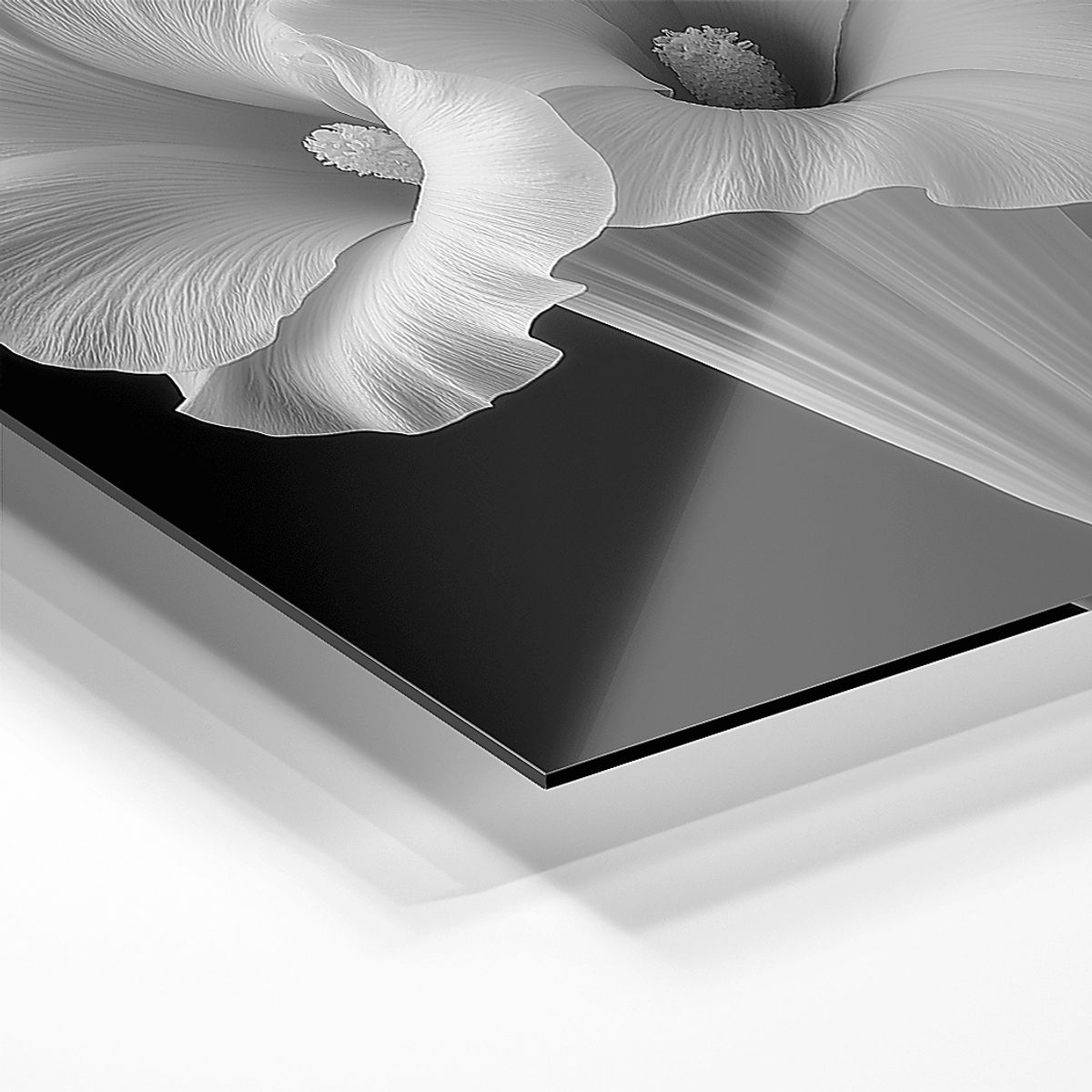 Faniry II Black Framed Artwork | Rooms to Go