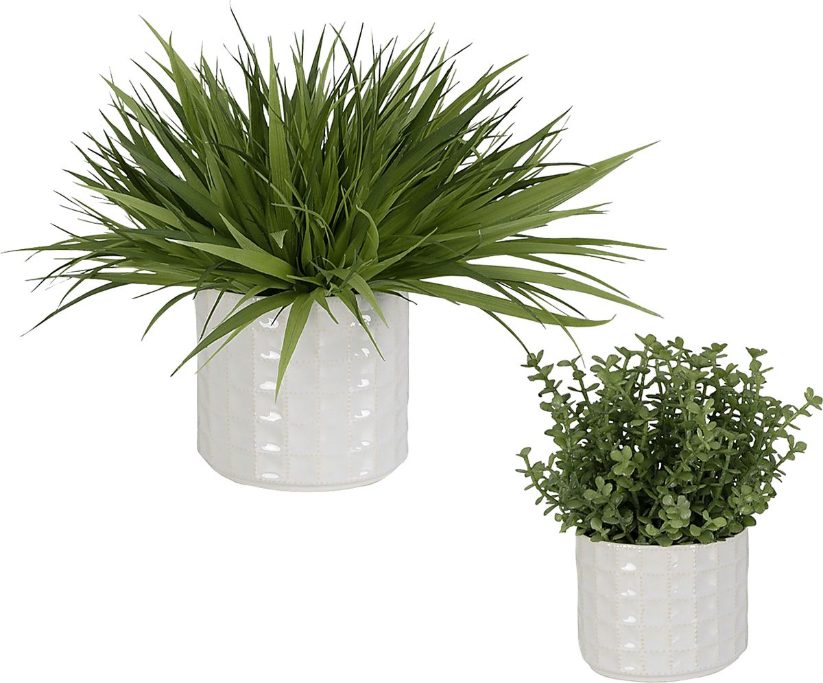Farryn White Colors,White Plant, Set Of 2 | Rooms to Go