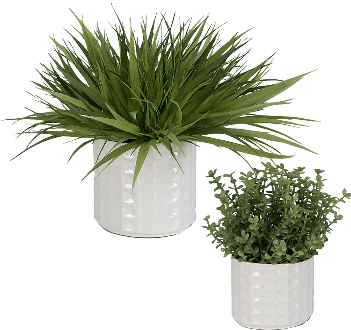 Farryn White Colors,White Plant, Set Of 2 | Rooms to Go