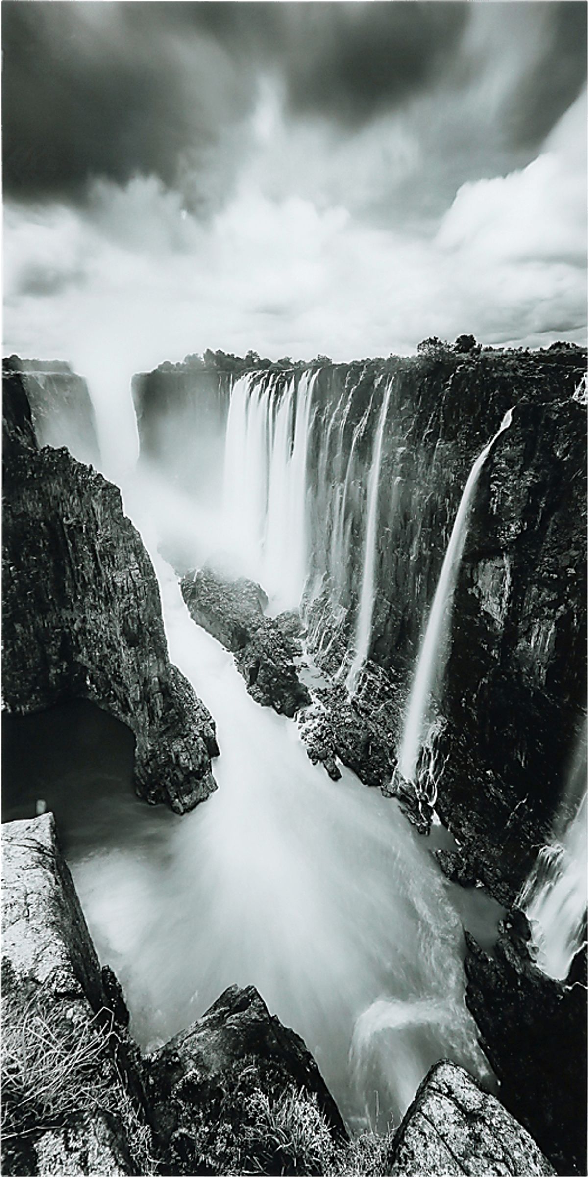 Fresh Perspective Artwork | Rooms to Go