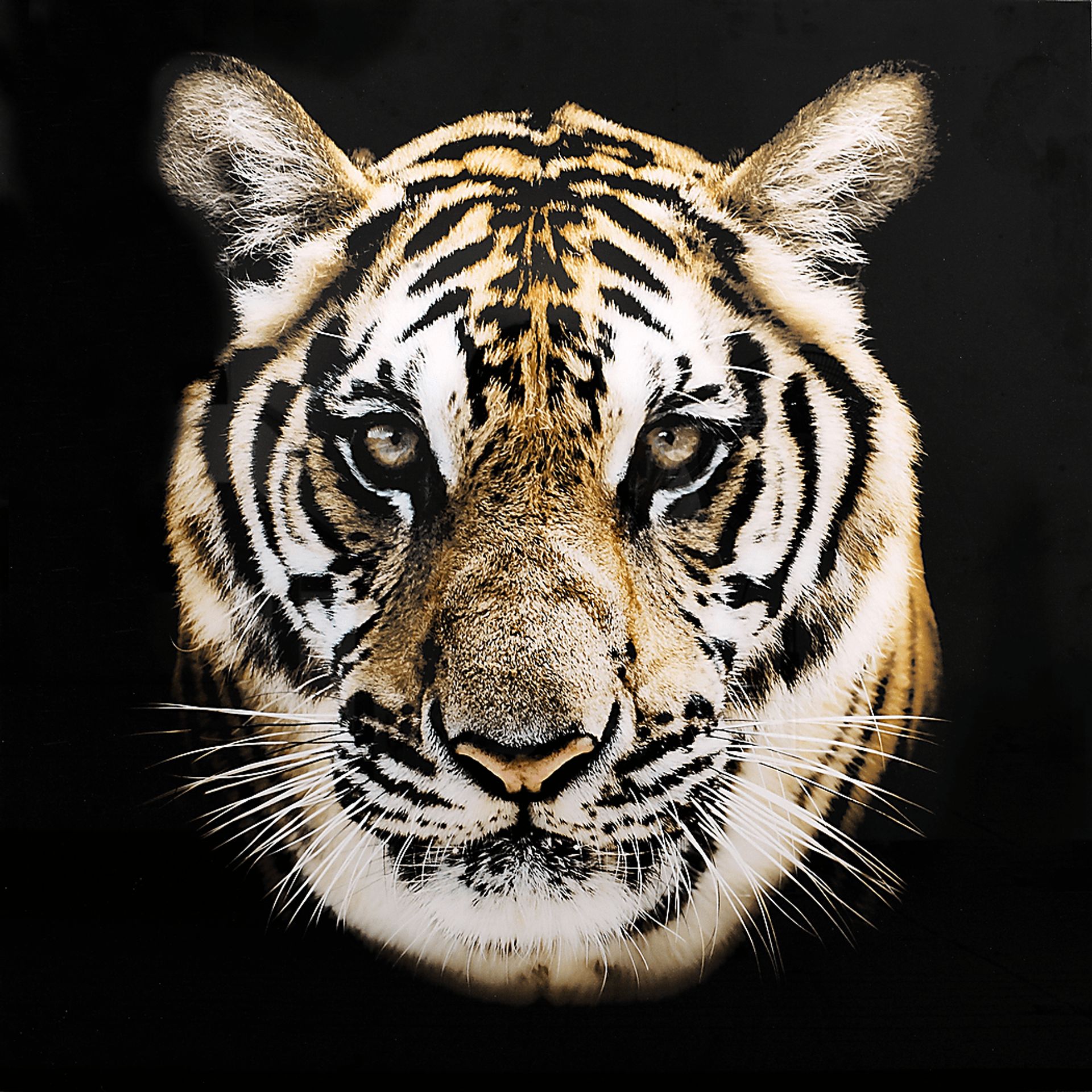 Gazing Artwork | Rooms to Go