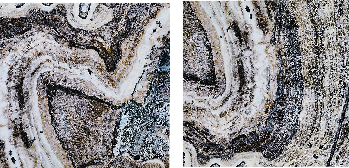 Gravevine Multi Artwork Set Of 2 | Rooms to Go