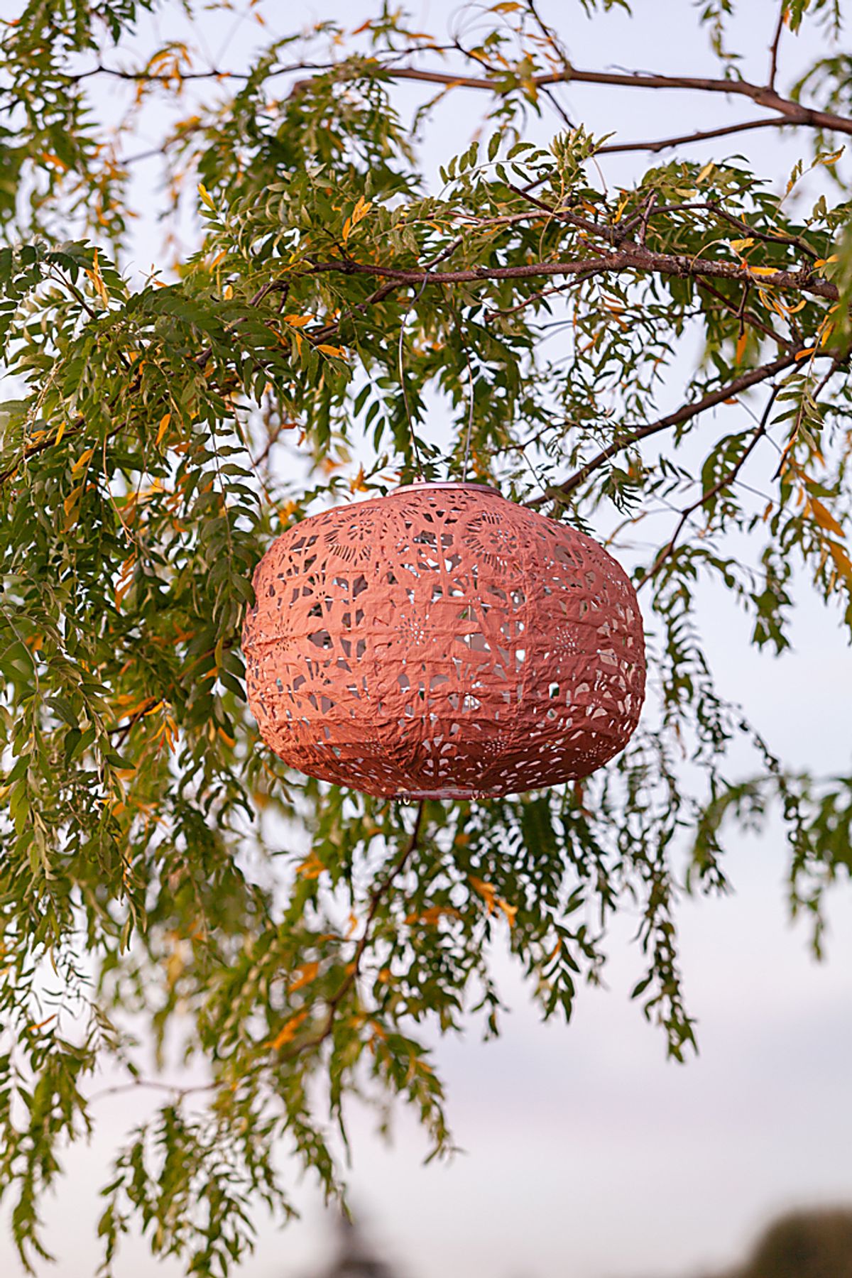 Irian Island Clay Orange Outdoor Lantern | Rooms to Go