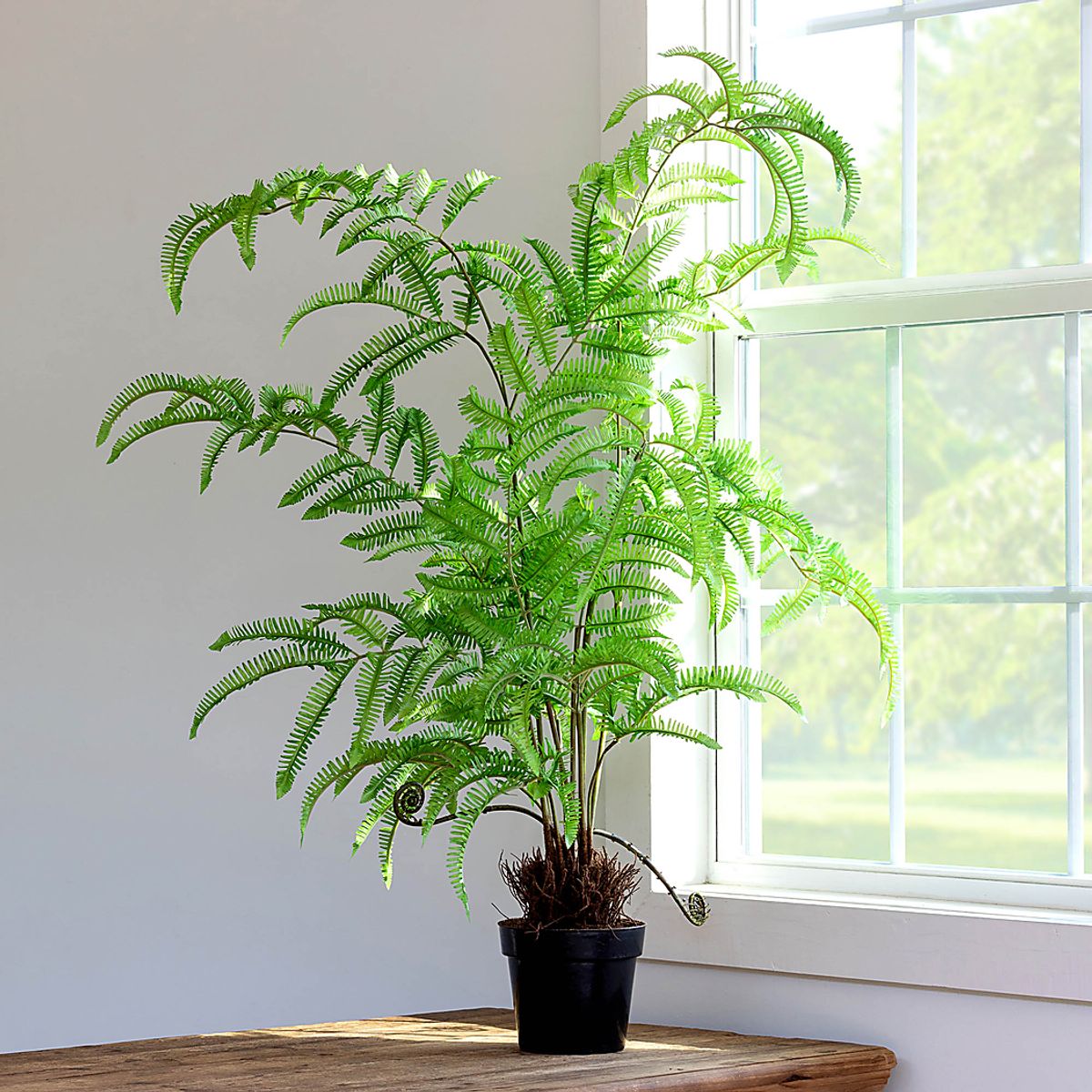 Kepps Green Polyester Fabric Fern Tree | Rooms to Go