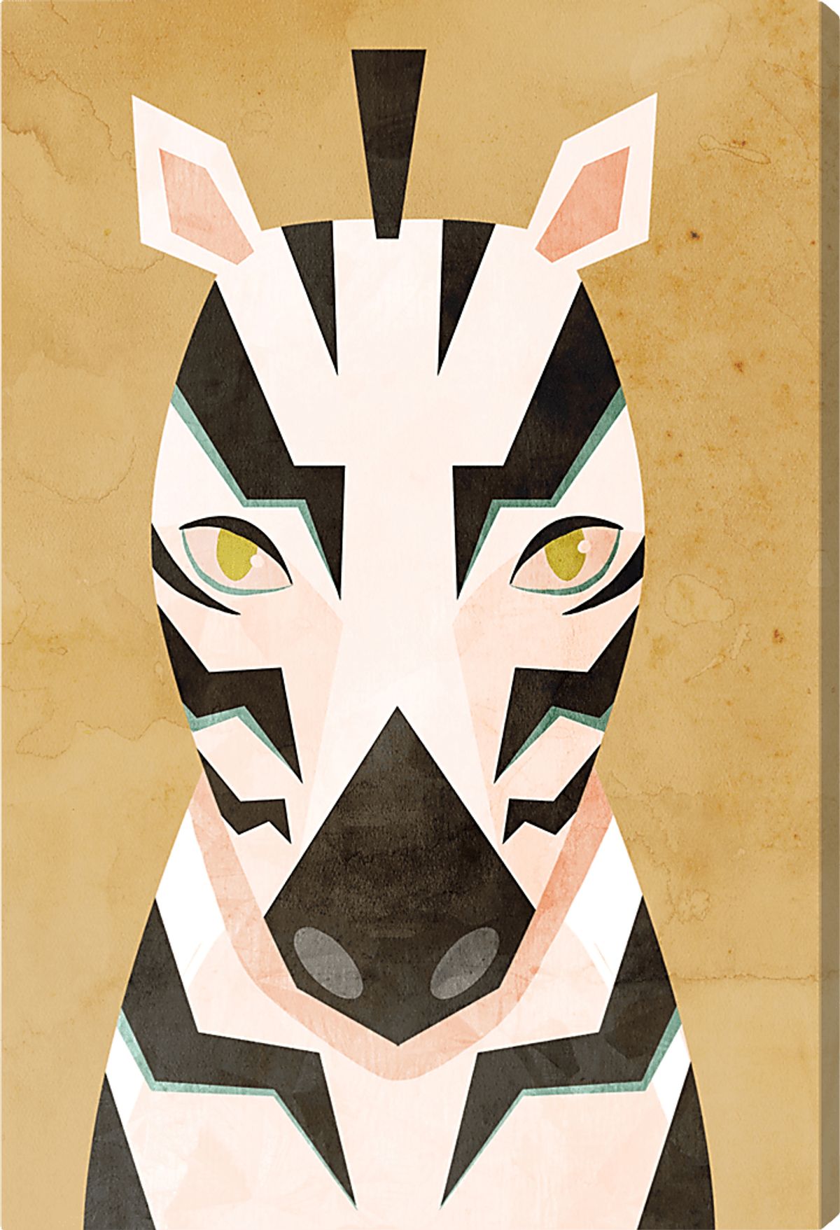 Bold Vibrant Zebra Wall Art | Rooms to Go