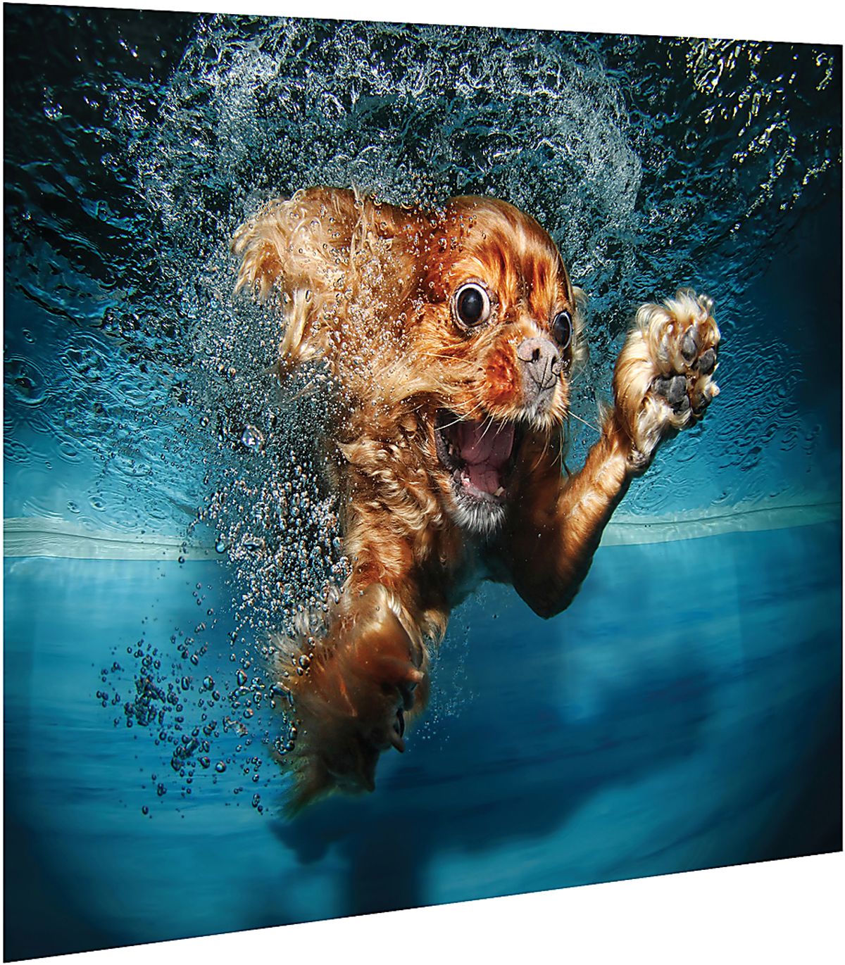Cavi Swim Blue Artwork | Rooms to Go