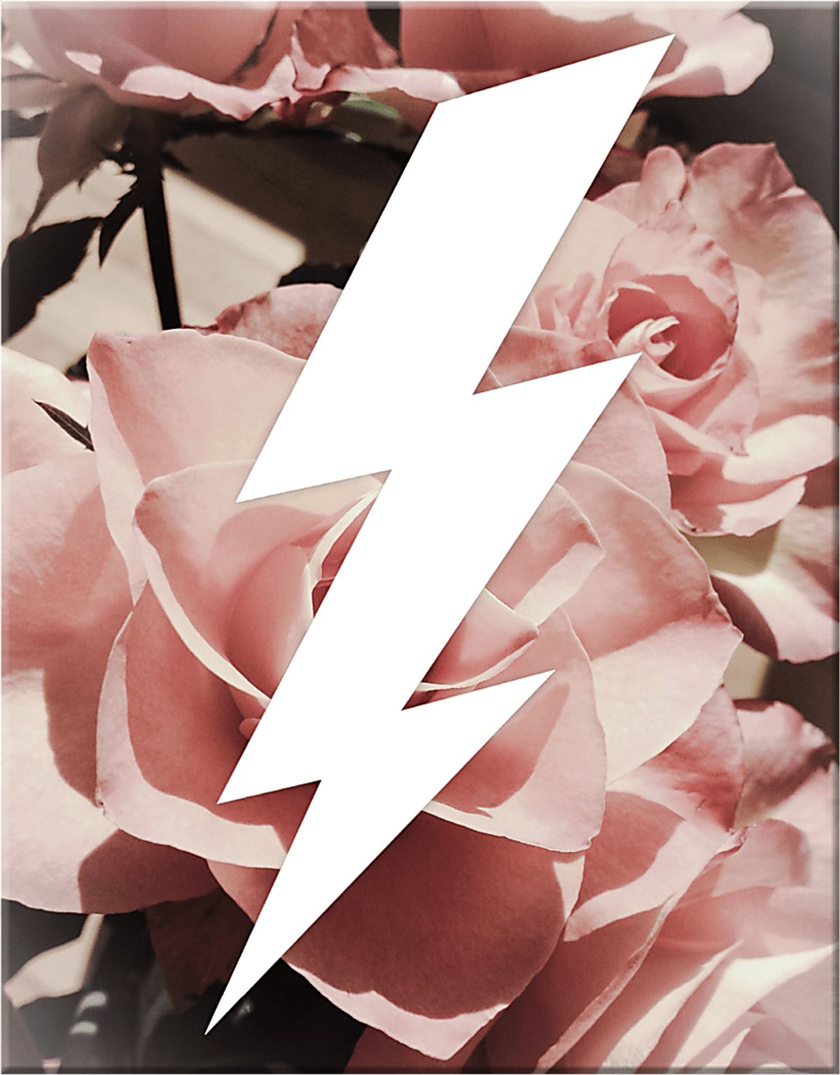 Graphic Lightning Bolt & Roses Artwork | Rooms to Go