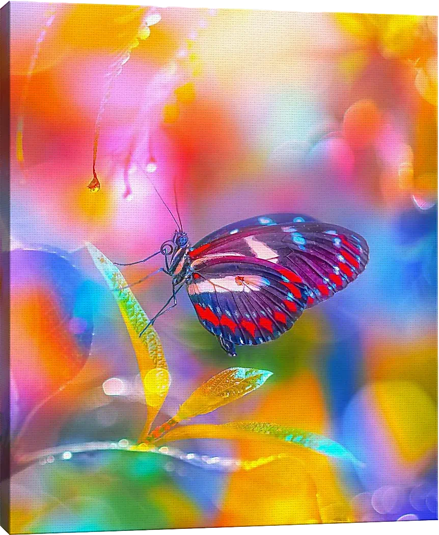 Kaleidoscope Butterfly II Multi Artwork | Rooms to Go