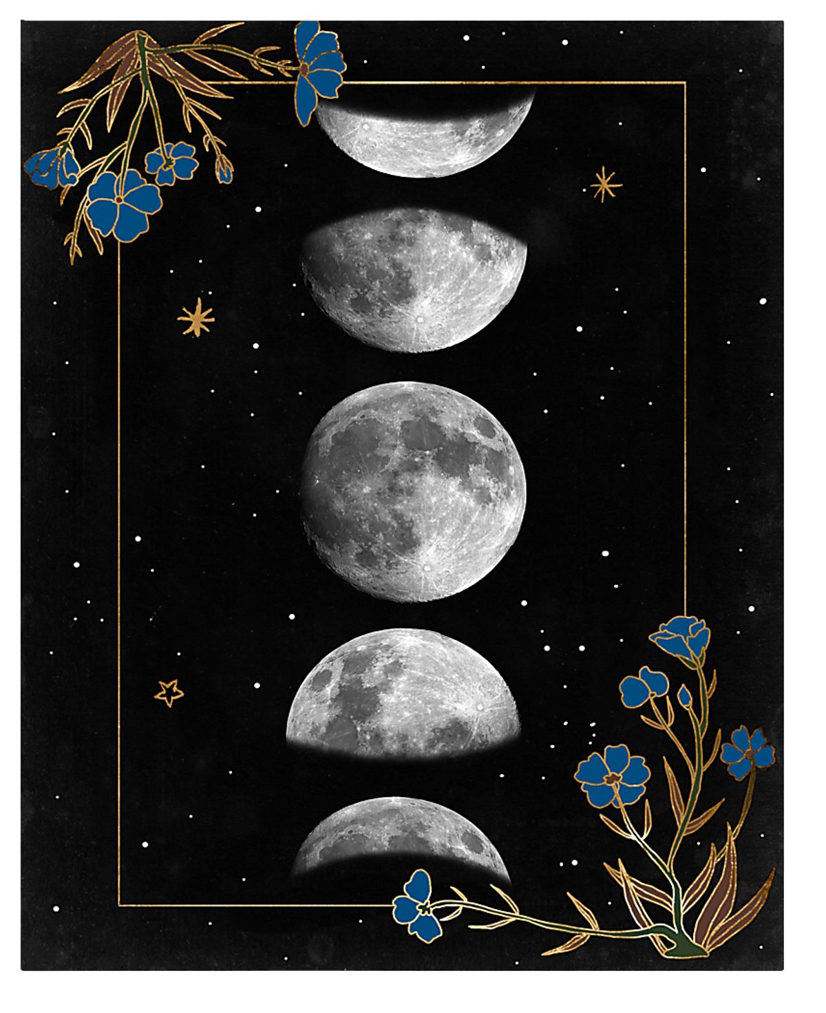 Moon Flora Black Artwork | Rooms to Go