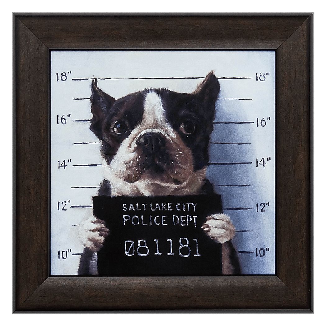 Mug Shot Artwork | Rooms to Go