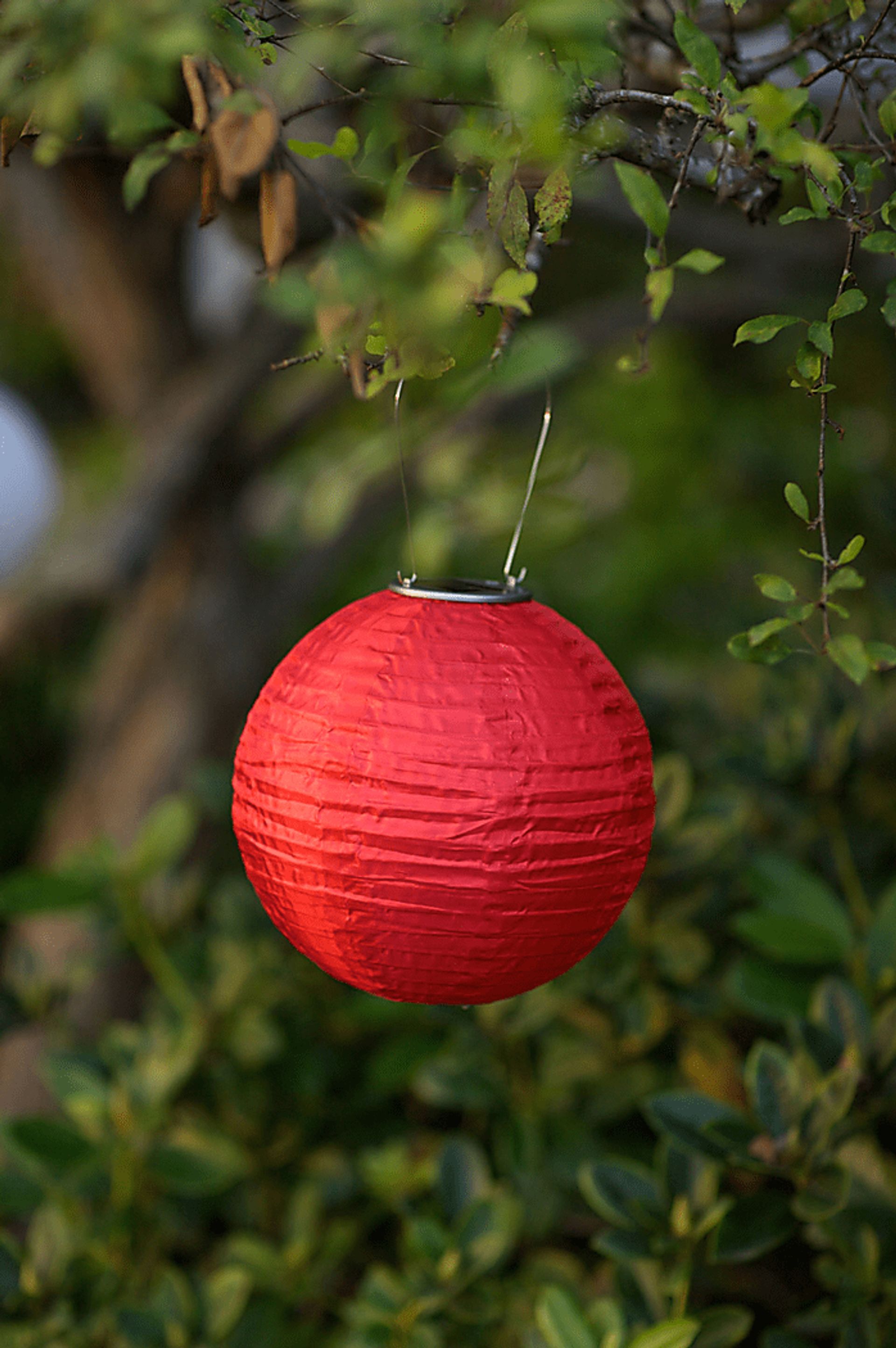Lita Red Outdoor Lantern | Rooms to Go