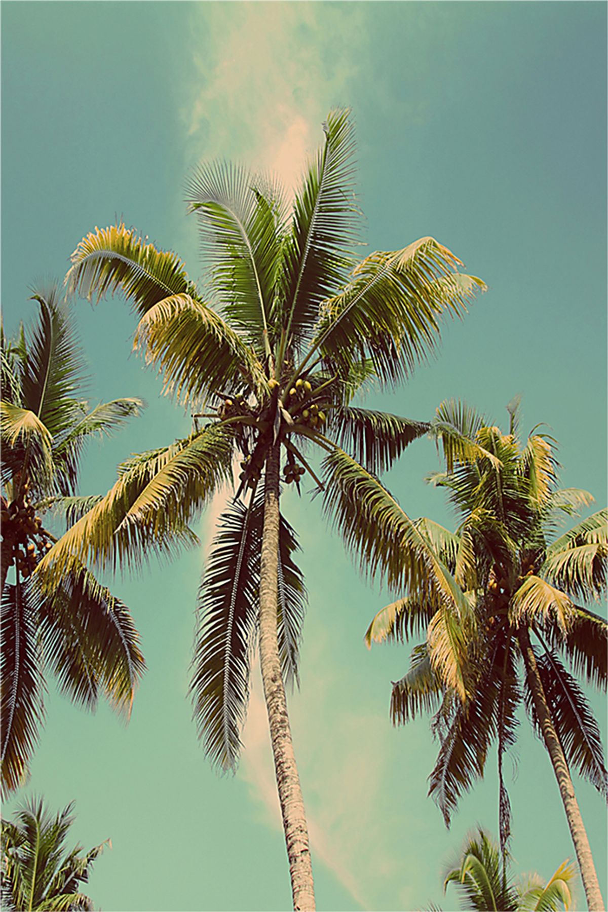 Malbone Teal Artwork - Rooms To Go