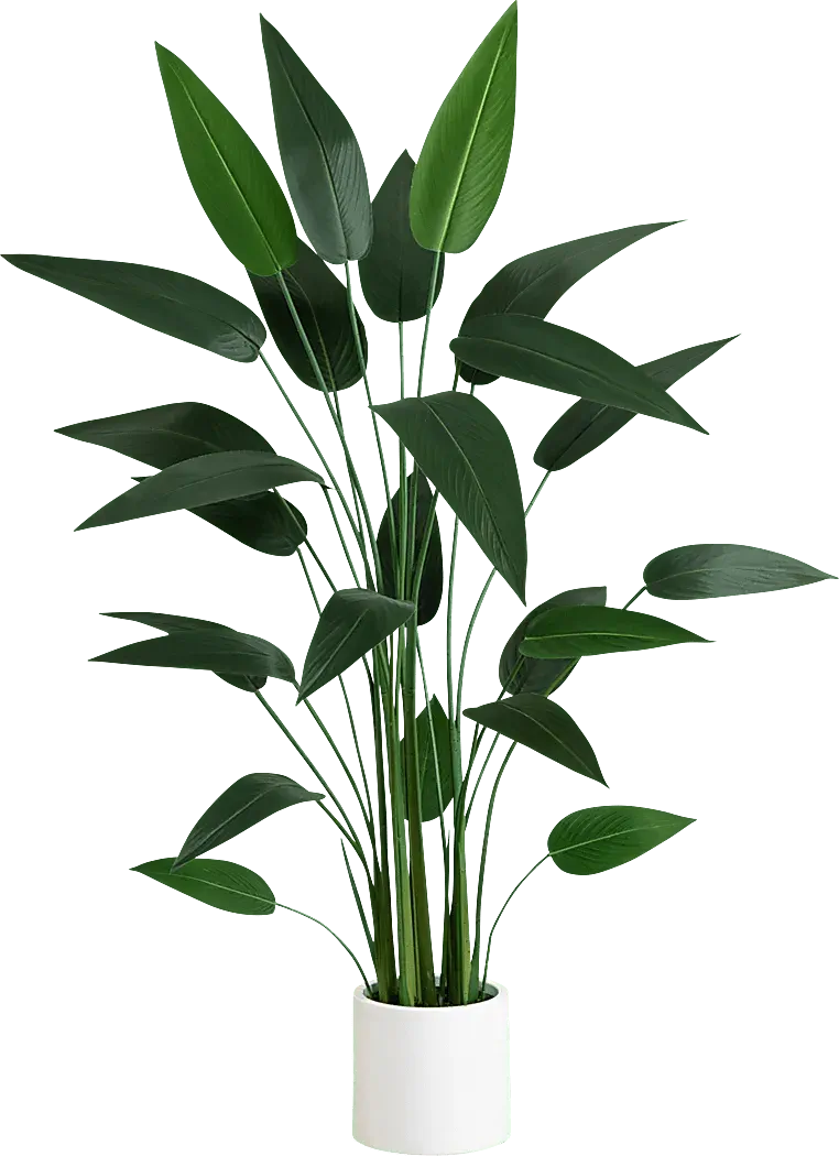 Malenock II Green Silk Plant | Rooms to Go