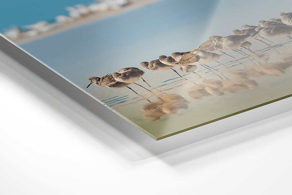Pevear Blue Artwork | Rooms to Go