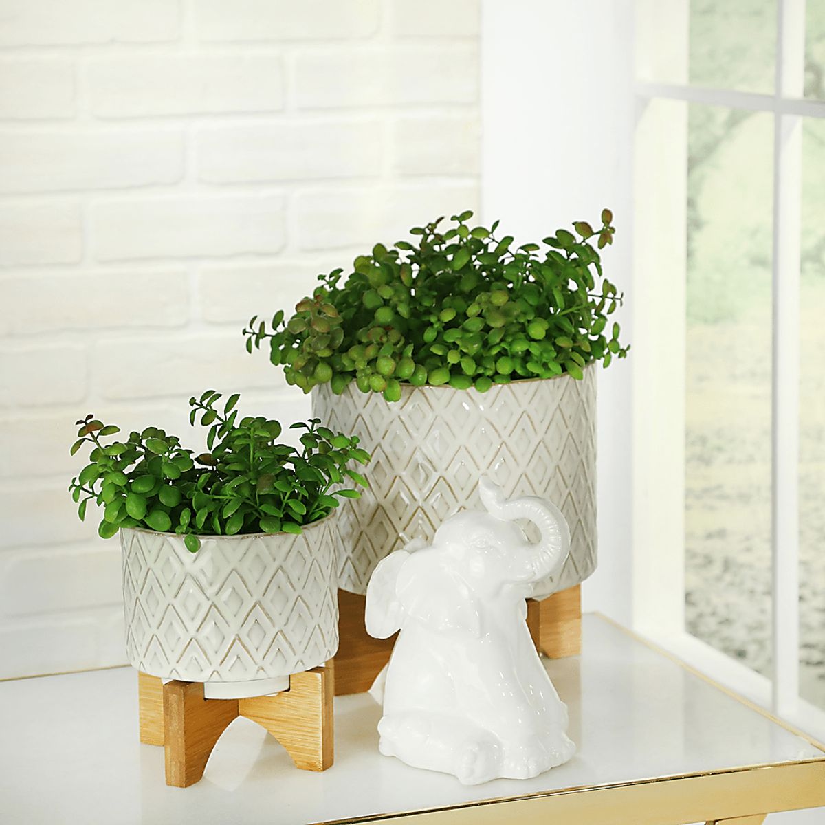 Powderley Ivory Light Wood,White Beige Planter | Rooms to Go