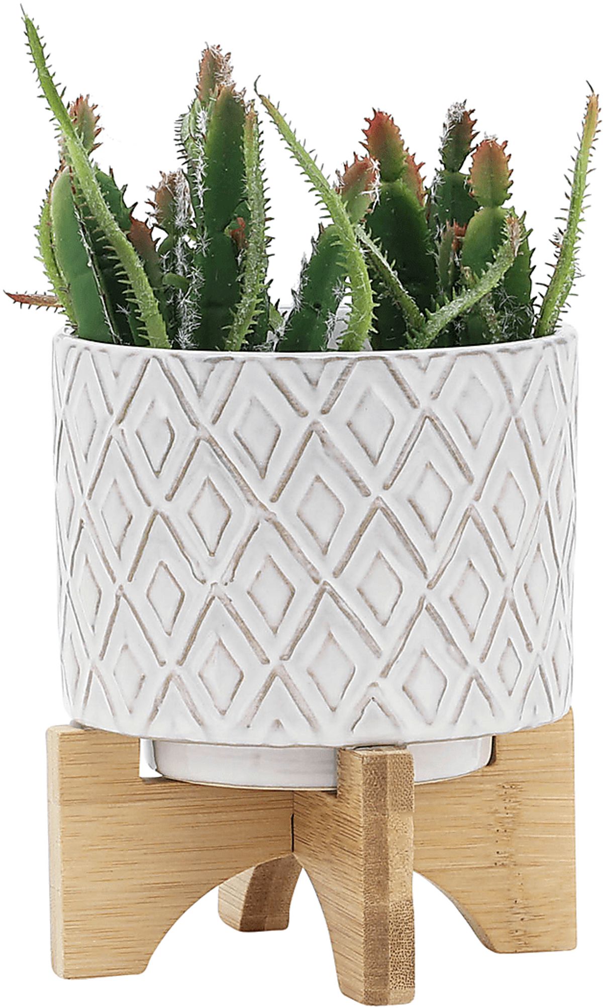 Powderley Ivory Light Wood,White Beige Planter | Rooms to Go