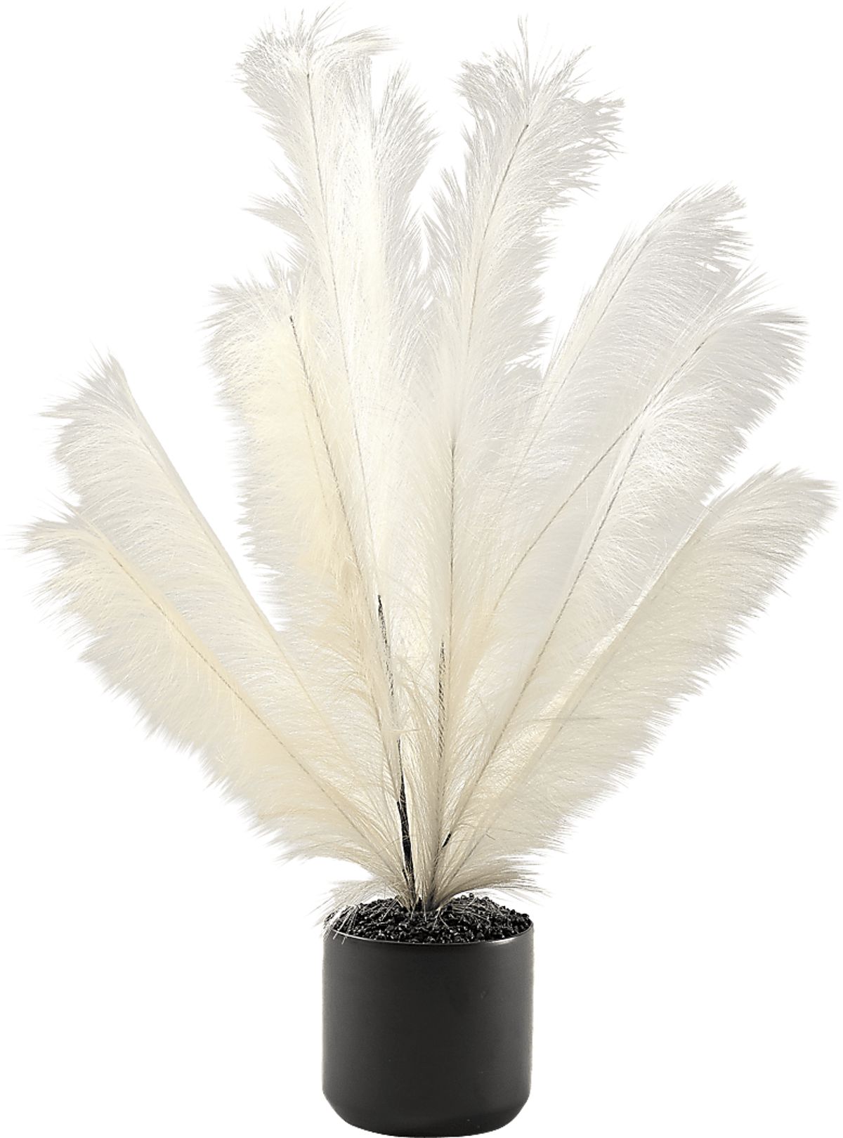 Senasac Black Plume Feathers | Rooms to Go