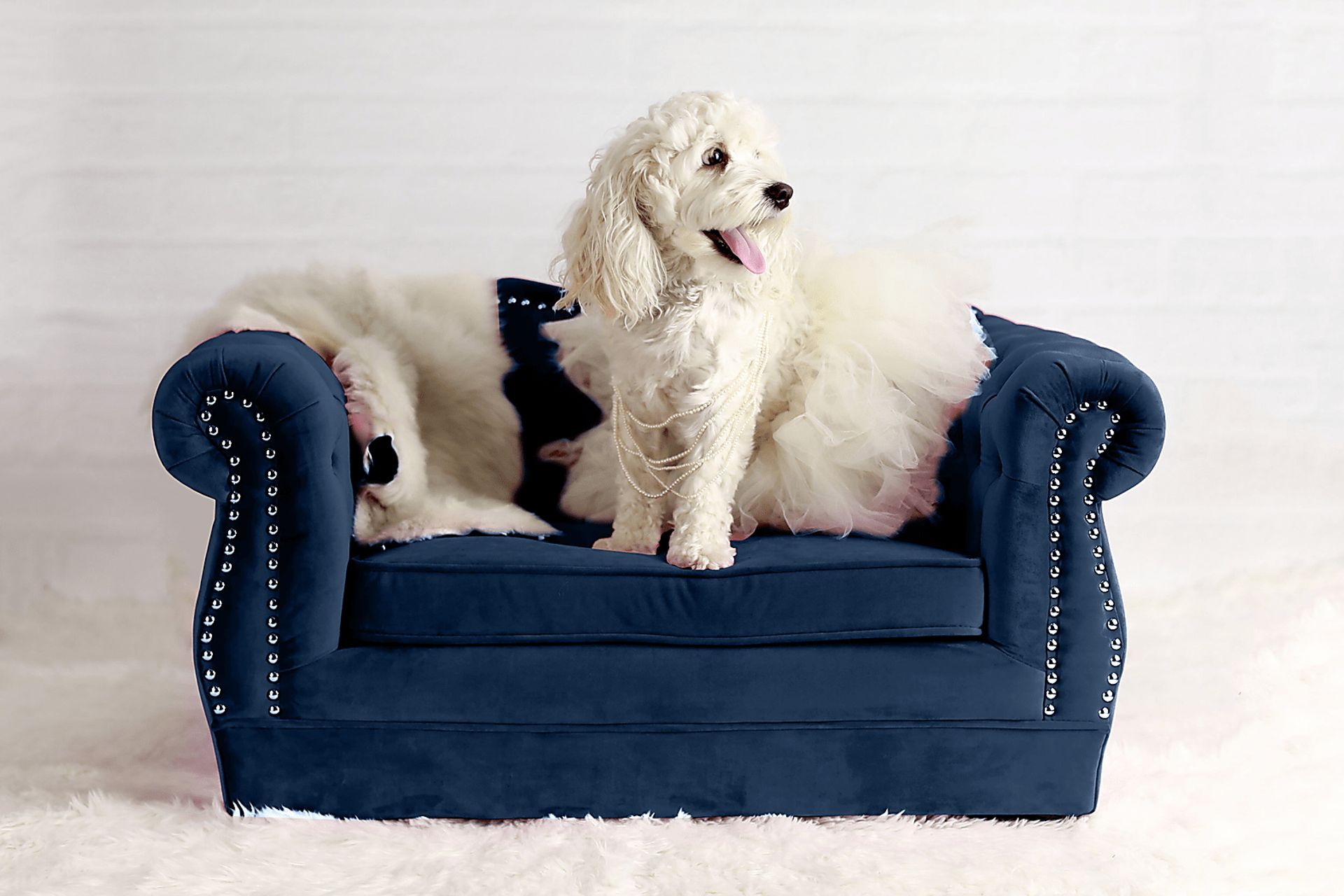Spaniel Pet Bed | Rooms to Go