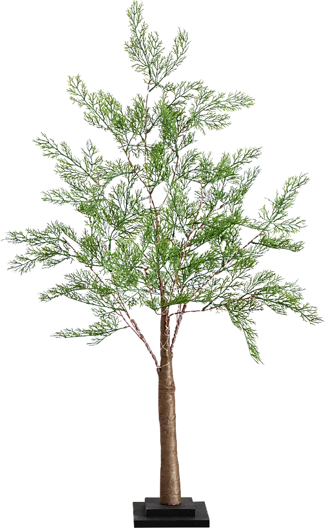 Sylvanus Green Silk Tree W/Lights | Rooms to Go