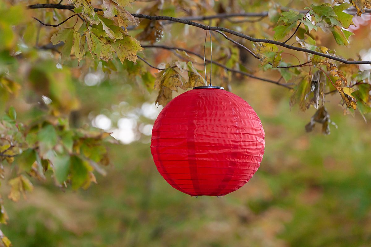 Vense Island Red Outdoor Lantern | Rooms to Go