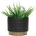 Winoca II Black Planter, Set of 2 - Rooms To Go