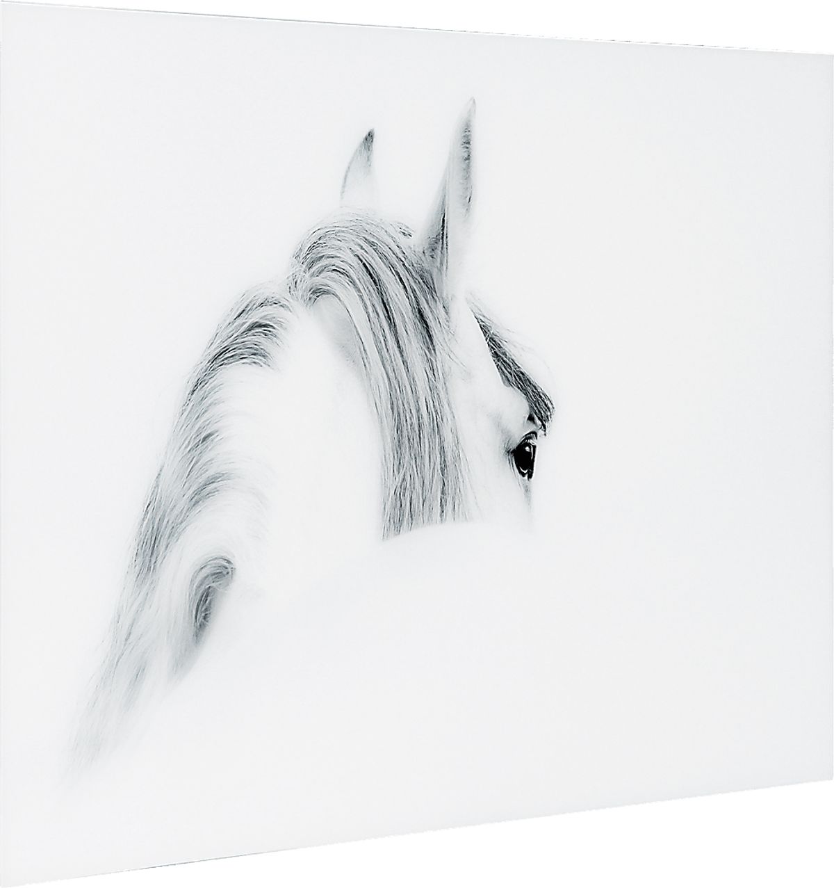 Winter Stare Artwork | Rooms to Go