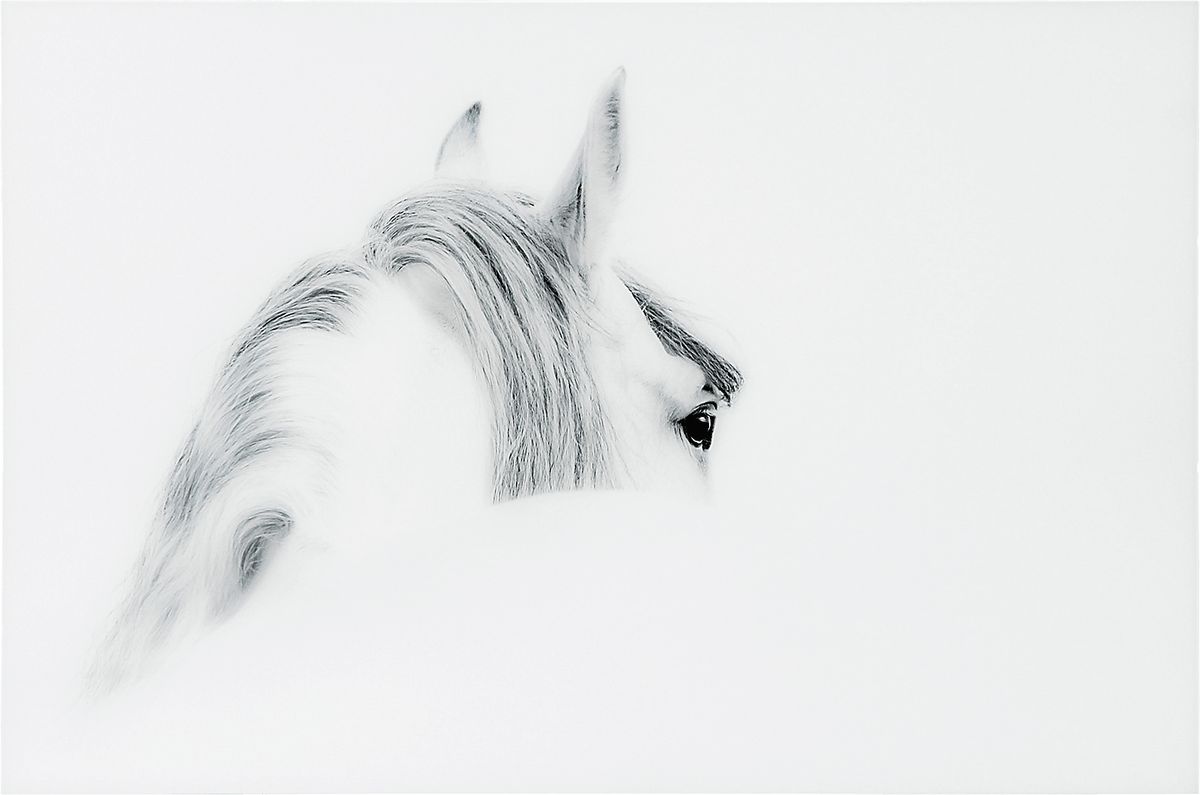 Winter Stare Artwork | Rooms to Go