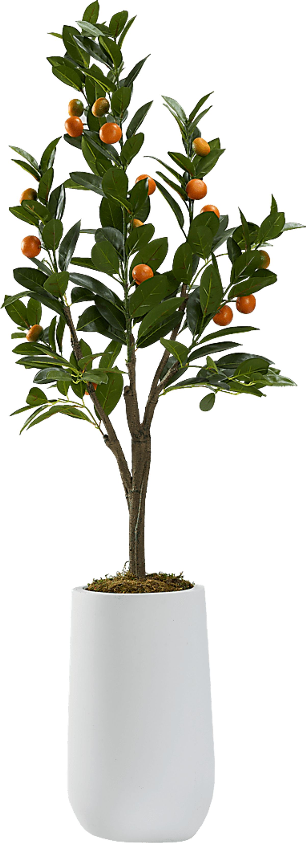 Ximeno White Tree | Rooms to Go