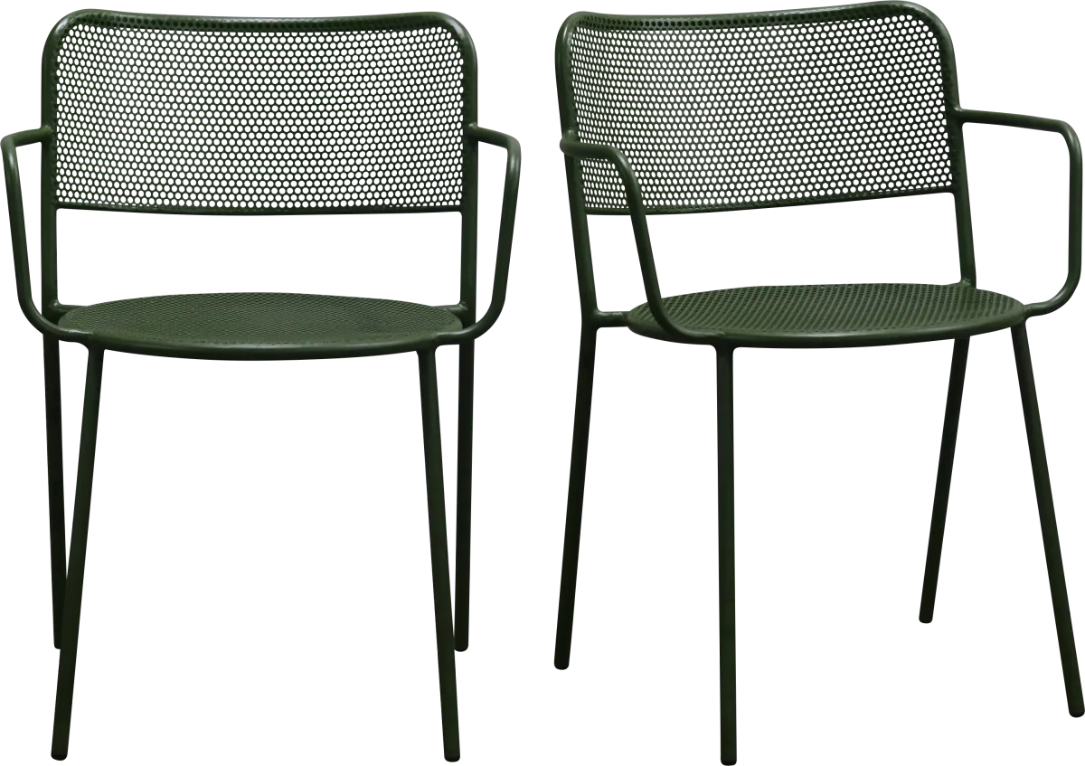Sherwoody Green Colors Outdoor Arm Chair, Set Of 2 | Rooms to Go