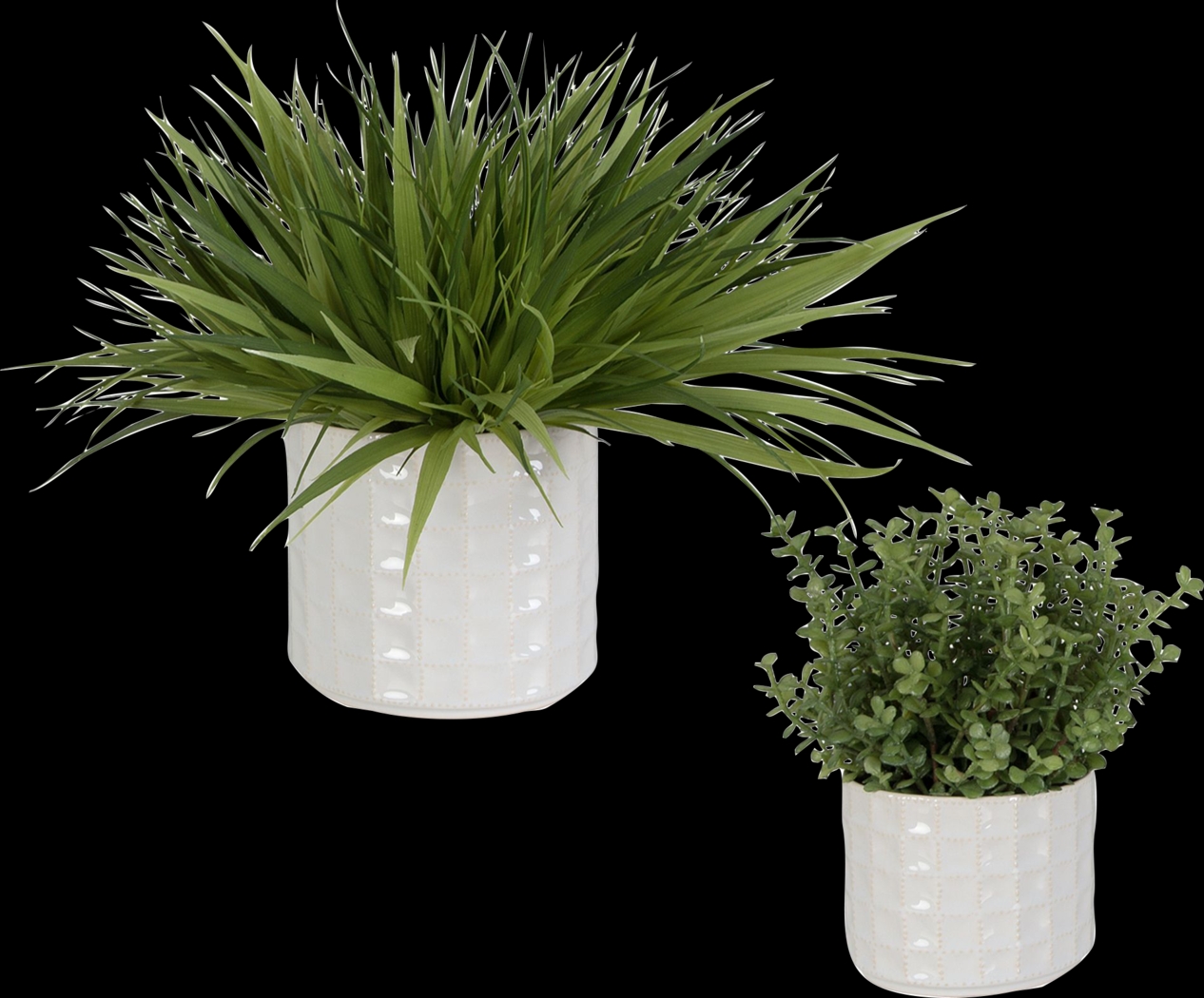 Farryn White Colors,White Plant, Set Of 2 | Rooms to Go